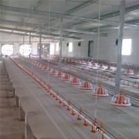 China Pan Chicken Feeding Line 120L Bin Automatic Chicken Feeder for sale