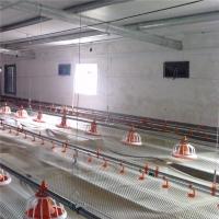 China Pan Chicken Feeding Line 120L Bin Automatic Chicken Feeder for sale