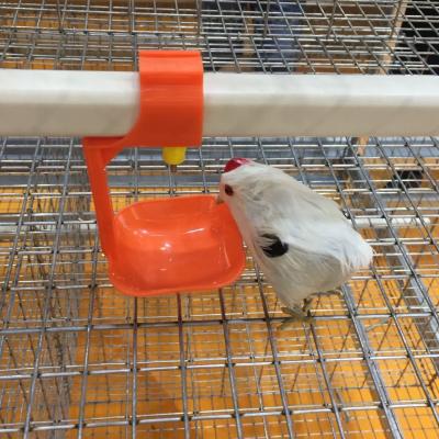 Cina Sistema di irrigazione per pollo arancione Sistema di irrigazione automatico per pollame a bassa pressione in vendita