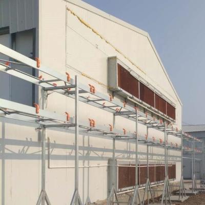 Cina Pollame che beve linea di alimentazione per polli da 1 kg-20 kg Alimentatore automatico per polli da carne in vendita