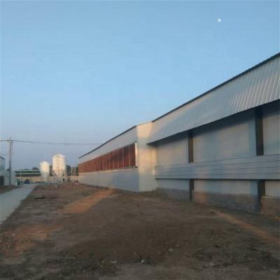 China Automatisch kwartelvoer- en drinksysteem voor pluimveestalapparatuur, pluimveevoeder voor vleeskuikens en fokkers Te koop
