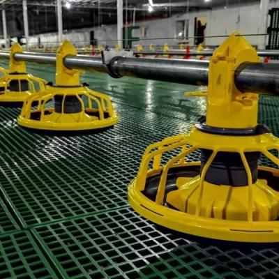 China Female Breeder Farm Equipment Drinkers en Feeders voor kippen Breeder Pan Feeding System Filippijnen 12 jaar geleverd Te koop