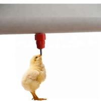 China Yellow Automatic Poultry Nipple Drinker Chicken Drip Waterer for sale