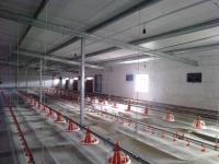 China White Red Automatic Pan Feeding System Plastic Automatic Pan Feeder for sale