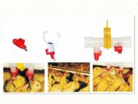China chicken drinker for farm automatic poultry plastic drinking line for sale