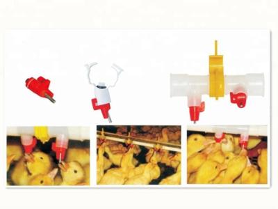 Cina abbeveratoio di pollo per linea di abbeveraggio automatico in plastica per pollame da allevamento in vendita