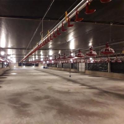 Cina Linea d'alimentazione automatica alimentatori e bevitori della pentola del pollame pollo in vendita