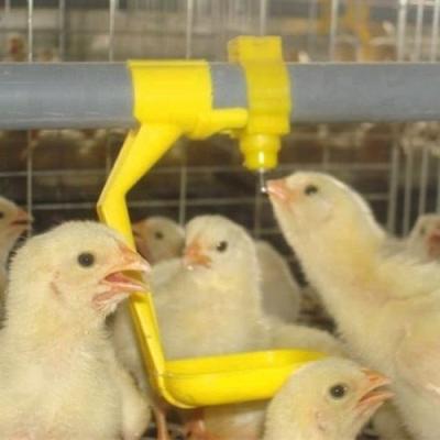 Cina 38,8 mm Acqua Capezzolo Bevitore Pollo Mangiatoia Pollame Sistemi idrici in vendita