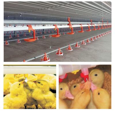 Cina Capezzoli per bere pollo rosso con abbeveratoio per pollo a sfera d'acciaio per tazze per bere pollame in vendita