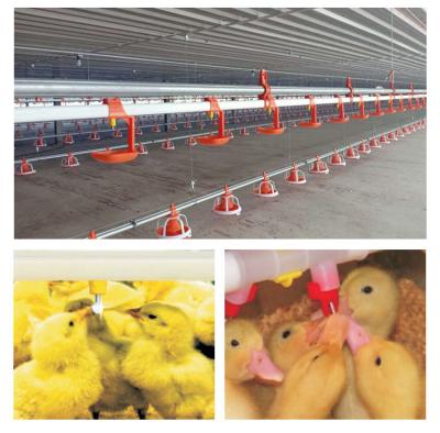Cina Bevitore personalizzabile dell'alimentatore del pollame della garanzia da 1 anno in vendita