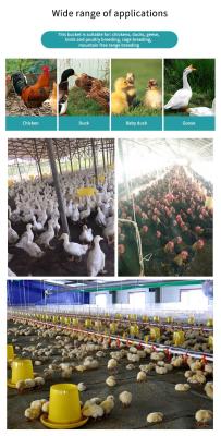 Cina 10KG 15KG Plastica Pollo Alimentatore Acqua Pollo Linea di Alimentazione Parti in vendita