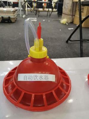 Cina Abbeveratoi automatici Plasson acque di pollo in vendita