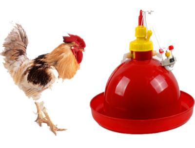 Cina abbeveratoi e alimentatori per polli abbeveratoi automatici per pollame in plastica per sistema di abbeveraggio per pollame in vendita