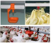 China Yellow Poultry Auto Drinker System Broiler Nipple Drinker With Cup for sale