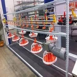 China Automatische Fütterungsmaschine für Hühnerbauernhof, einfache Fütterungslinie, ganzer Satz Fütterungsausrüstung zu verkaufen