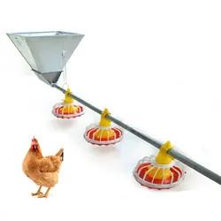 China Equipamento de alimentação para linha de alimentação de frango de criação sistema de alimentação síncrona de medição tipo barril para apoiar o local à venda