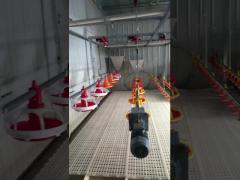 Автоматический разводя клапан уменьшения давления воды цыпленка клапана птицы PRV