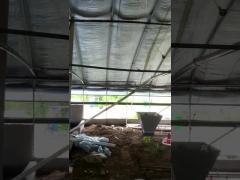 1g-99g Poultry Feeding Equipment Automatic Poultry Feeder System