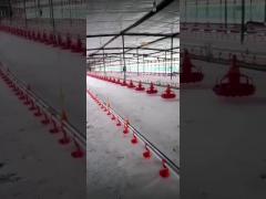 Broiler Automatic Pan Feeding System 380V Automatic Pan Feeder