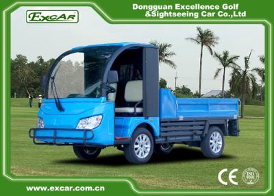 China Blue Color Two Seater Electric Utility Car With 7.5KW 48V Trojan Battery for sale