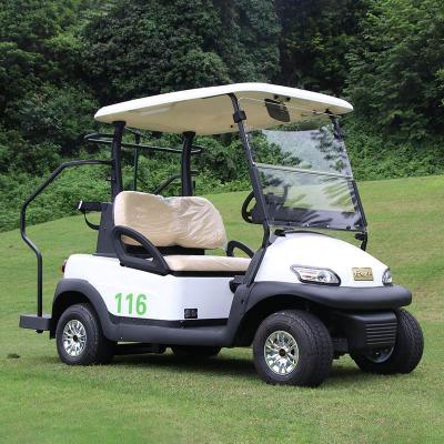 China 2 Passengers Electric Golf Buggy With 30% Climbing Capacity And 35KM/H Speed for sale
