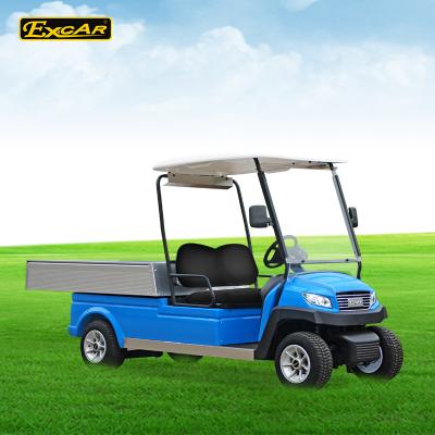 China 3.7KW Blue Buggy Car for Hotel Farm With 48V Lithium Battery for sale