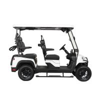 China 4 Seats Facing Forward Electric Buggy With Sound System for sale