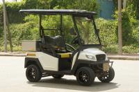 China EEC Certified 48V 2 Seater Electric Golf Cart Battery Powered for Hotel Square Use for sale