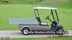 A1H2 Champagne Gold  This electric multi-purpose utility vehicle offers safety and stability, a long