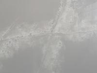 China Calacatta White Quartz Stone Slab Ice Crack Pattern 3200x1600mm NSF SGS Certified for sale