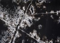 China Polished Artificial Quartz Slabs 3200x1800mm 93% Quartz for Countertops for sale