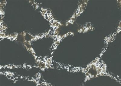 China A pedra artificial high-density de quartzo, resiste ao quartzo preto resistente Worktop à venda