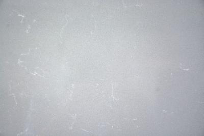 China Kitchentop/pedra branca artificial de quartzo Carrara da ilha com padrões do GV e do NSF à venda
