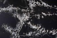 China Black Calacata Artificial Quartz Kitchen Countertop 6.5 Mohs Hardness in 3000×1400mm Size for sale