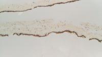 China Scratch Resistant Artificial Quartz Stone Slab 26x96 Inches with Rock Color Veins for Countertops for sale