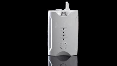 China HD1000 Wholesales gas detector for home use with factory price OEM ODM support for sale