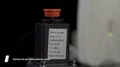 China LPG gas solenoid valve to shut off the gas source supply matched with gas alarm for sale
