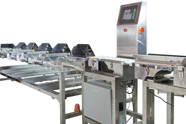 Quality Low Noise Conveyor Weight Checker , Automatic Sorting Machine With Multi Sorting for sale