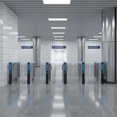 China 304 Stainless Steel Swing Barrier with Electromechanical Anti-Collision and 5 Million Cycles Durability for sale