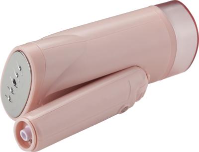 China 800W Electric Portable Handheld Garment Steamer Your Solution for Wrinkle-Free Clothes for sale