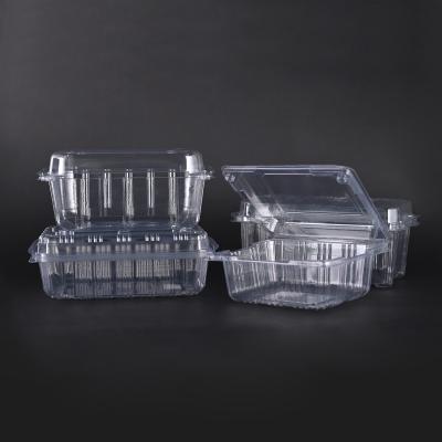 Cina Contenitore di frutta in PET Contenitori di plastica usa e getta con coperchio a cupola Scatola trasparente usa e getta in vendita