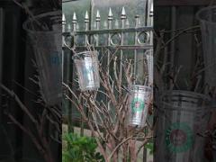 pet cold plastic cup
