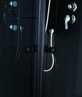 Cina Stylish Shower Room Con Matt Nero E Vetro Temperato Per Moderno E Personalizzabile in vendita