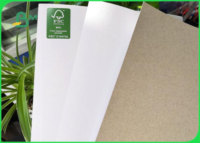 250g 300g 350g Smooth Surface FSC Coated Duplex Board With Grey Back For Package