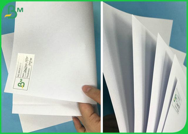 FSC 55G 60G 70G 80G 100G Wood Free Offset Paper Sheet Or Roll Custom Service