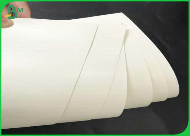 Fully Safe & Clean 70*100cm 160gsm +12g PE Cup Paper Roll For Coffee Cup