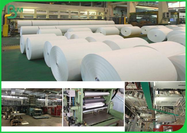 AA 869mm 889mm 50gsm 55gsm 60gsm 잡지를 위한 백색 인쇄지를 등급을 매기십시오