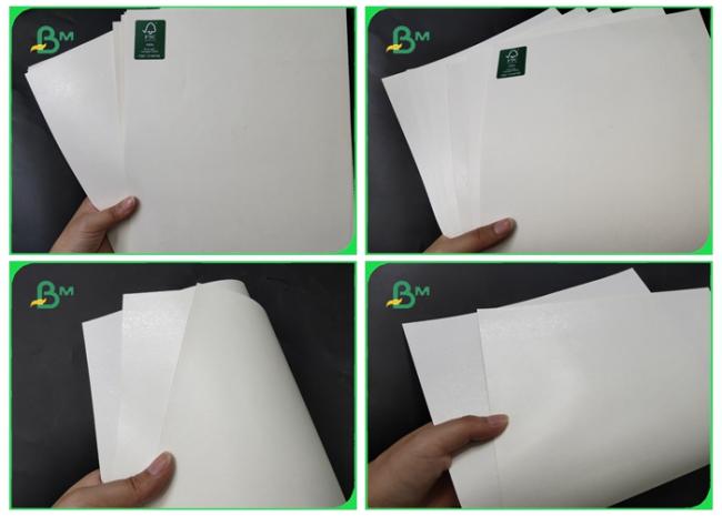 300gsm Ivory Board + 15g PE Coated With FSC And FDA For Making Lunch Box