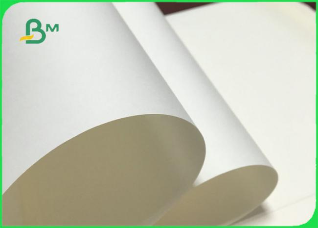 70gsm 80gsm Uncoated Offset Printing Paper for School Book Size Customized