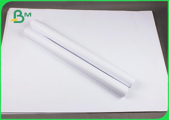 UWF Uncoated Woodfree Paper In Reels OBA Free 80gsm 100gsm 120gsm FSC Certified